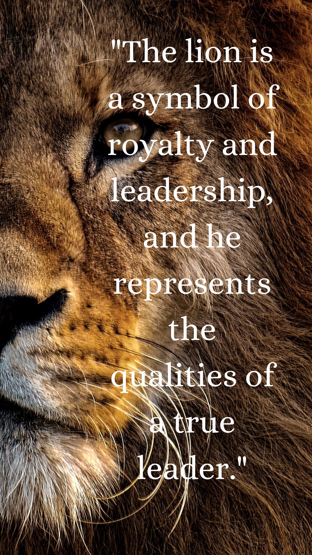 40 Interesting and Motivation Lions Quotes