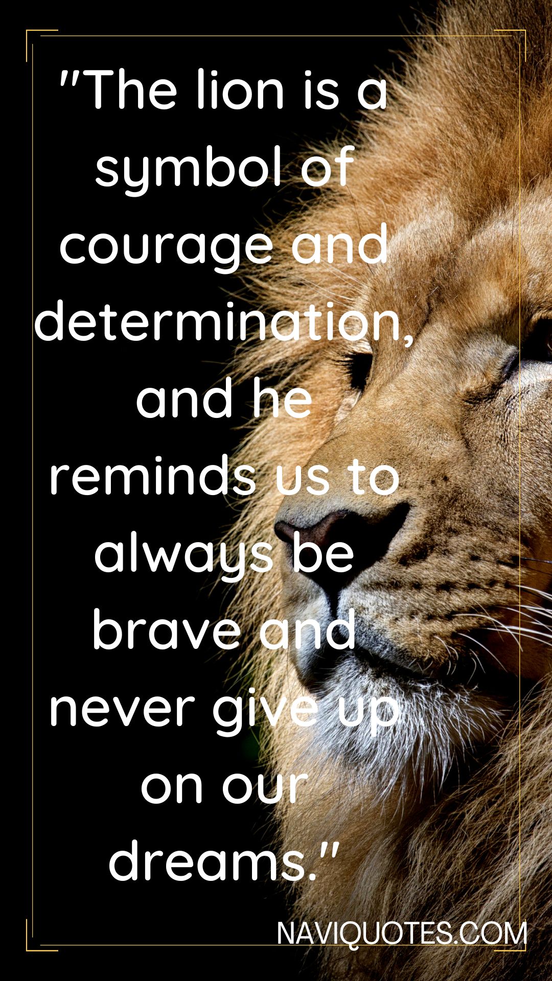 40 Interesting and Motivation Lions Quotes