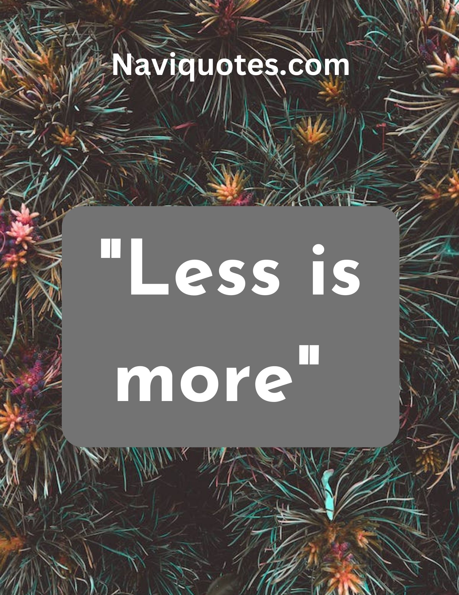 225 One Line Captions for Instagram