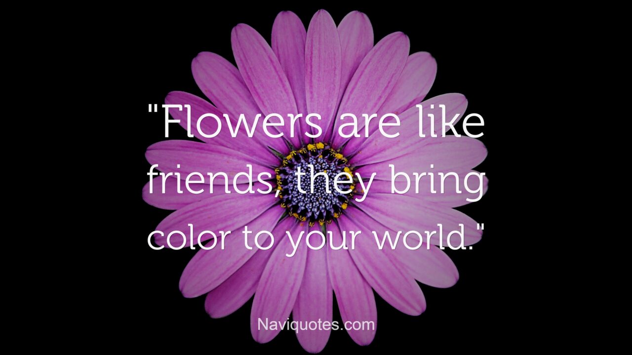 140 Flower Quotes and Captions for Instagram