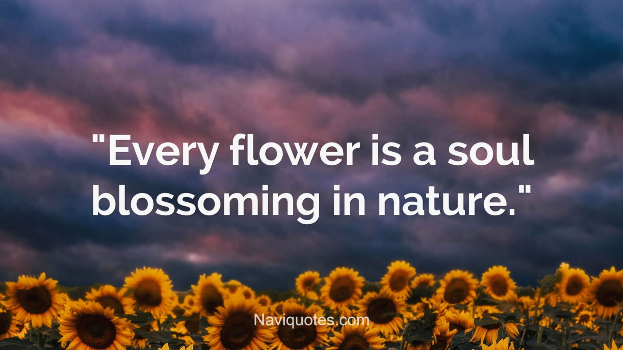 140 Flower Quotes and Captions for Instagram