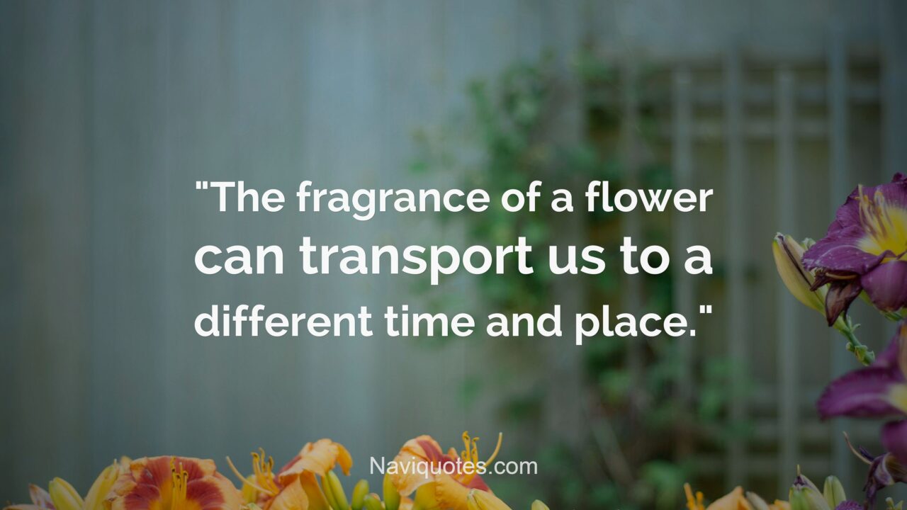 140 Flower Quotes and Captions for Instagram