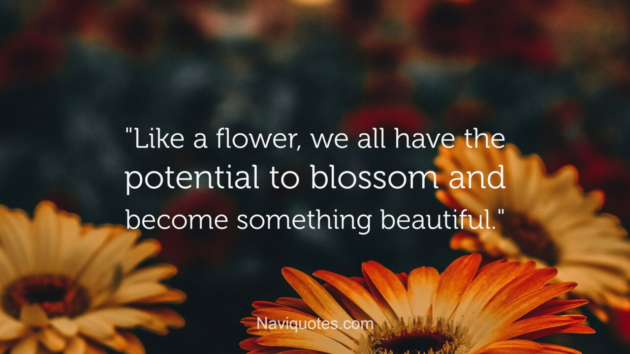 140 Flower Quotes and Captions for Instagram