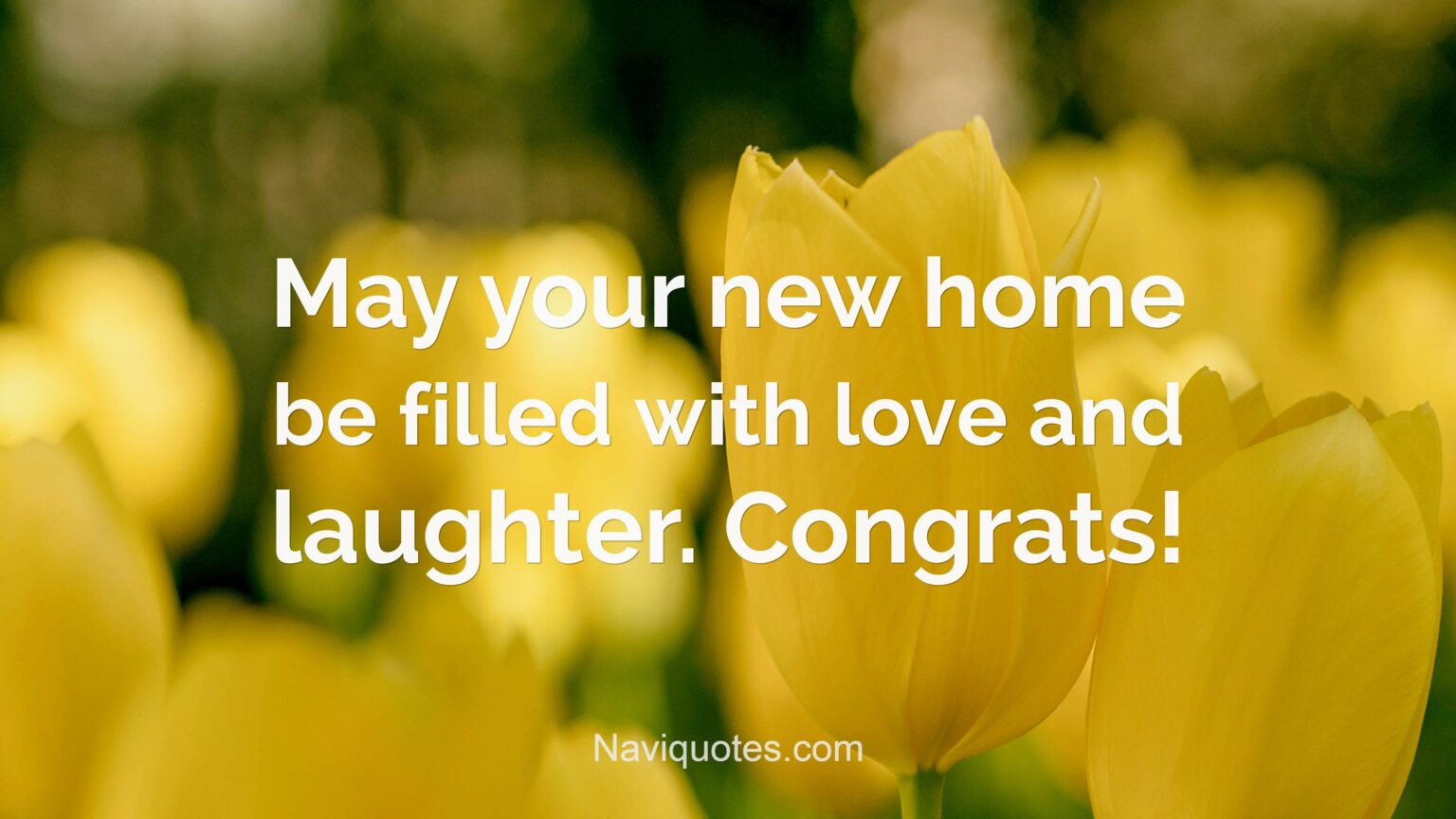 120 Warm Messages for New Home : Wishes for Friends, Family, and ...