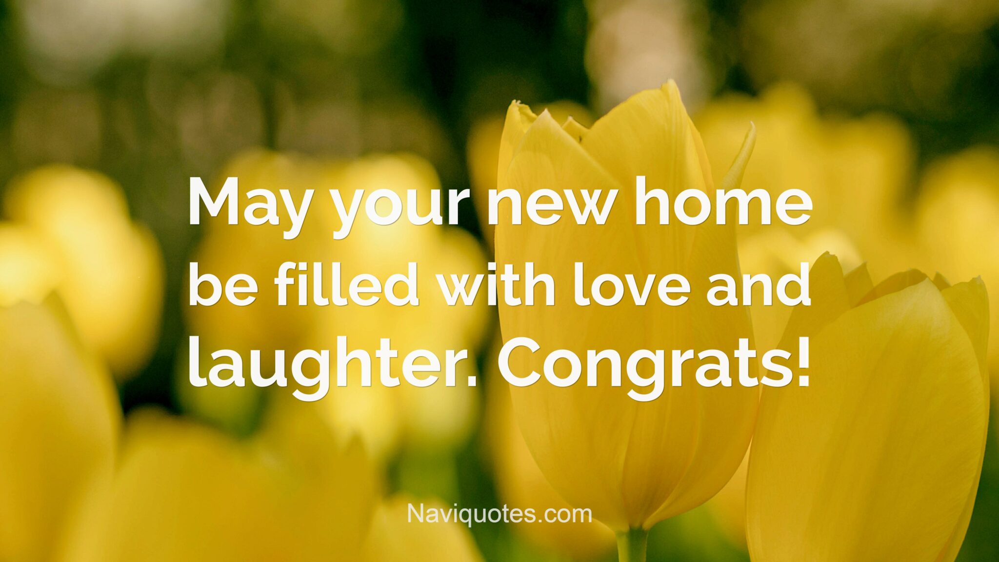 120 Warm Messages for New Home : Wishes for Friends, Family, and ...
