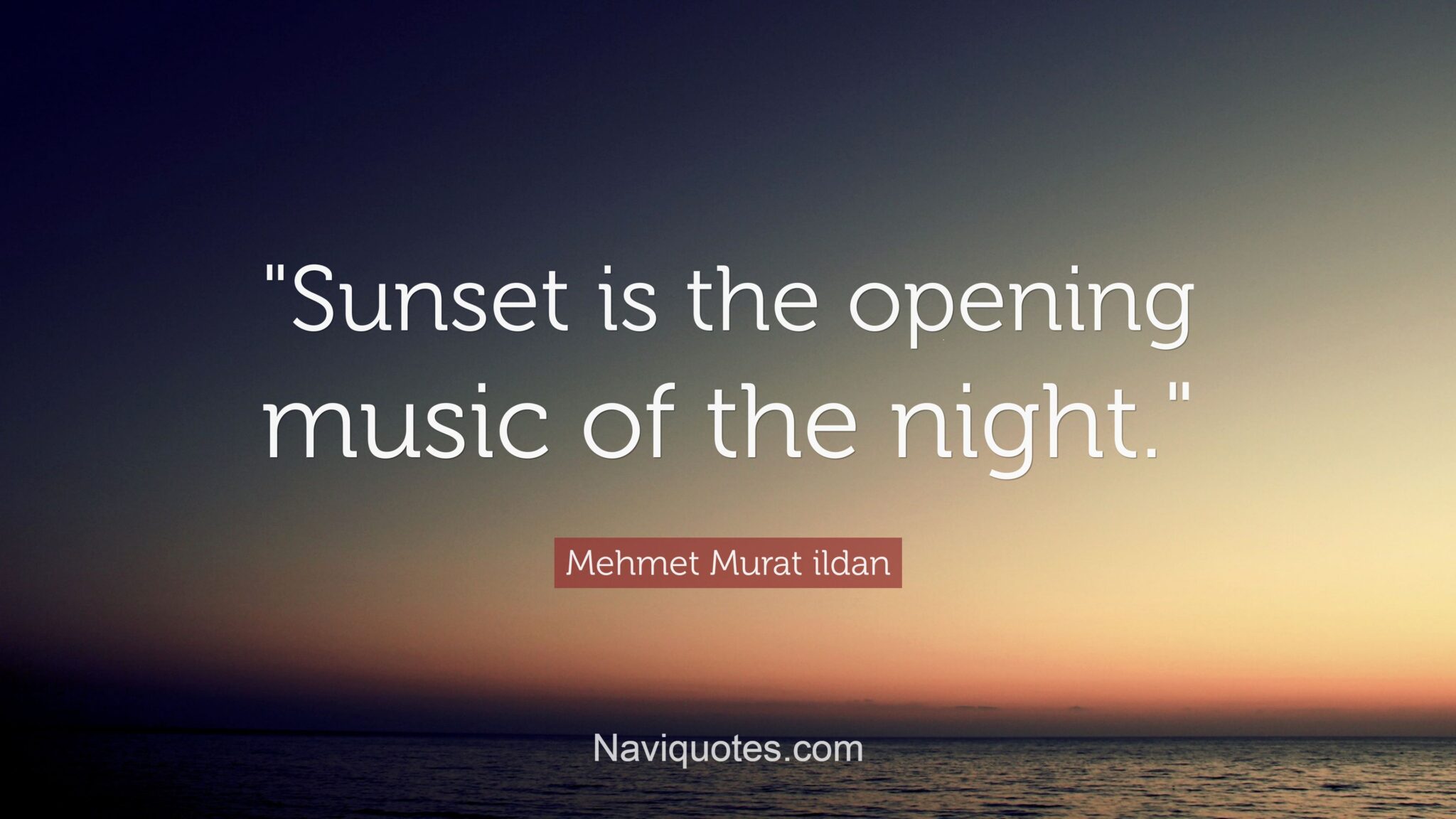 240 Cute Sunset Quotes and Captions for Instagram