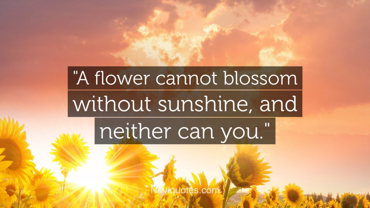 140 Flower Quotes and Captions for Instagram