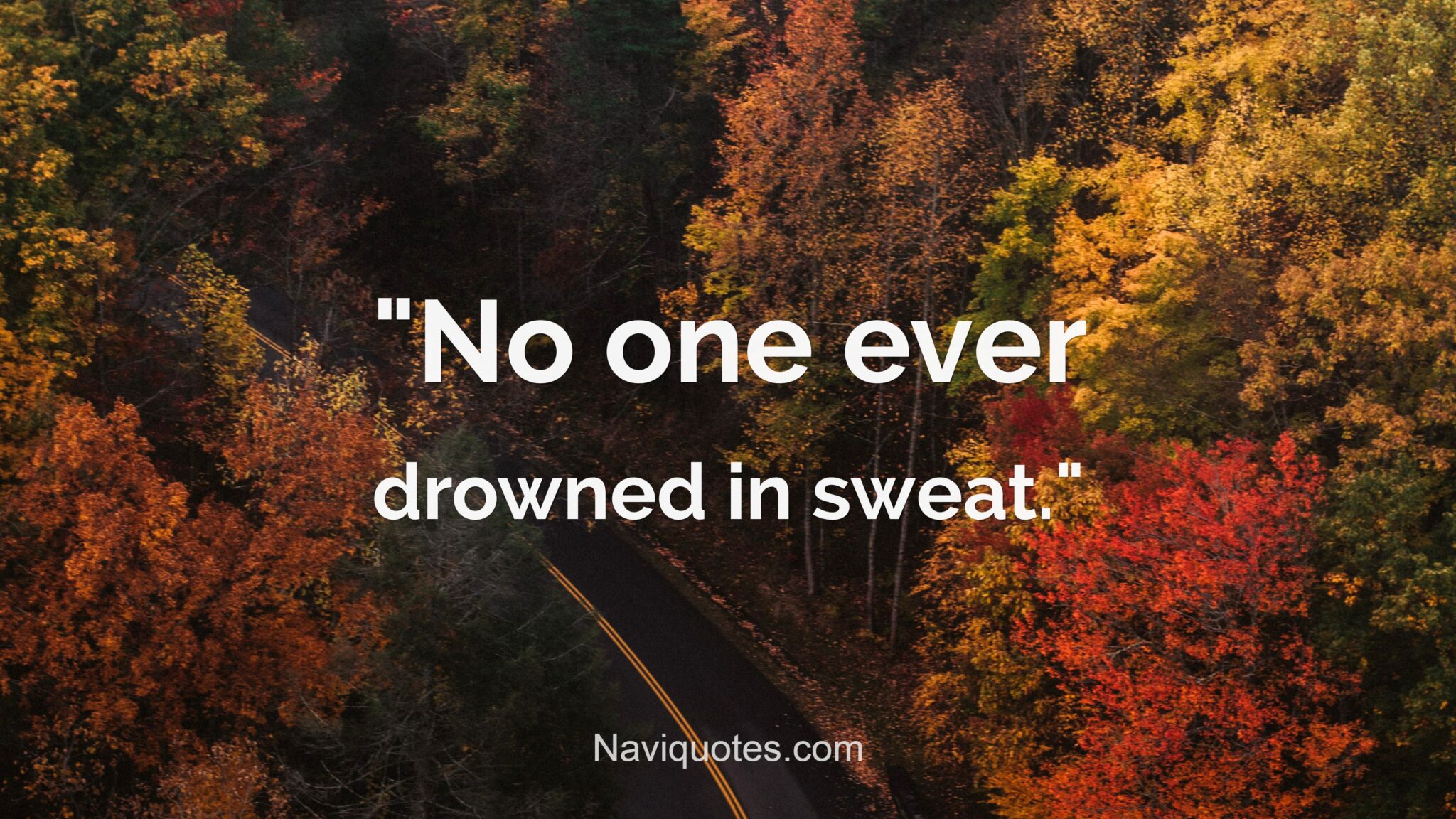 160 Best Savage Quotes and Captions for Girls