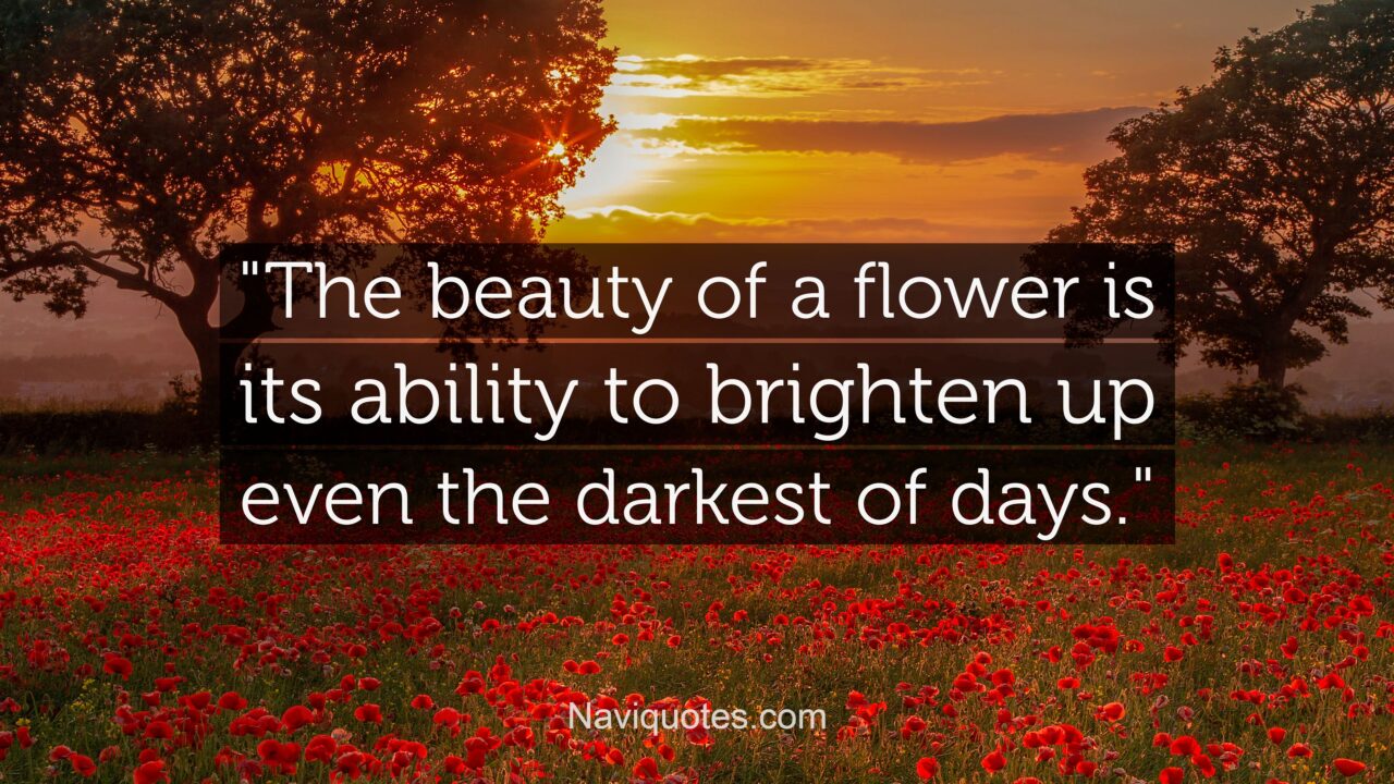 140 Flower Quotes and Captions for Instagram