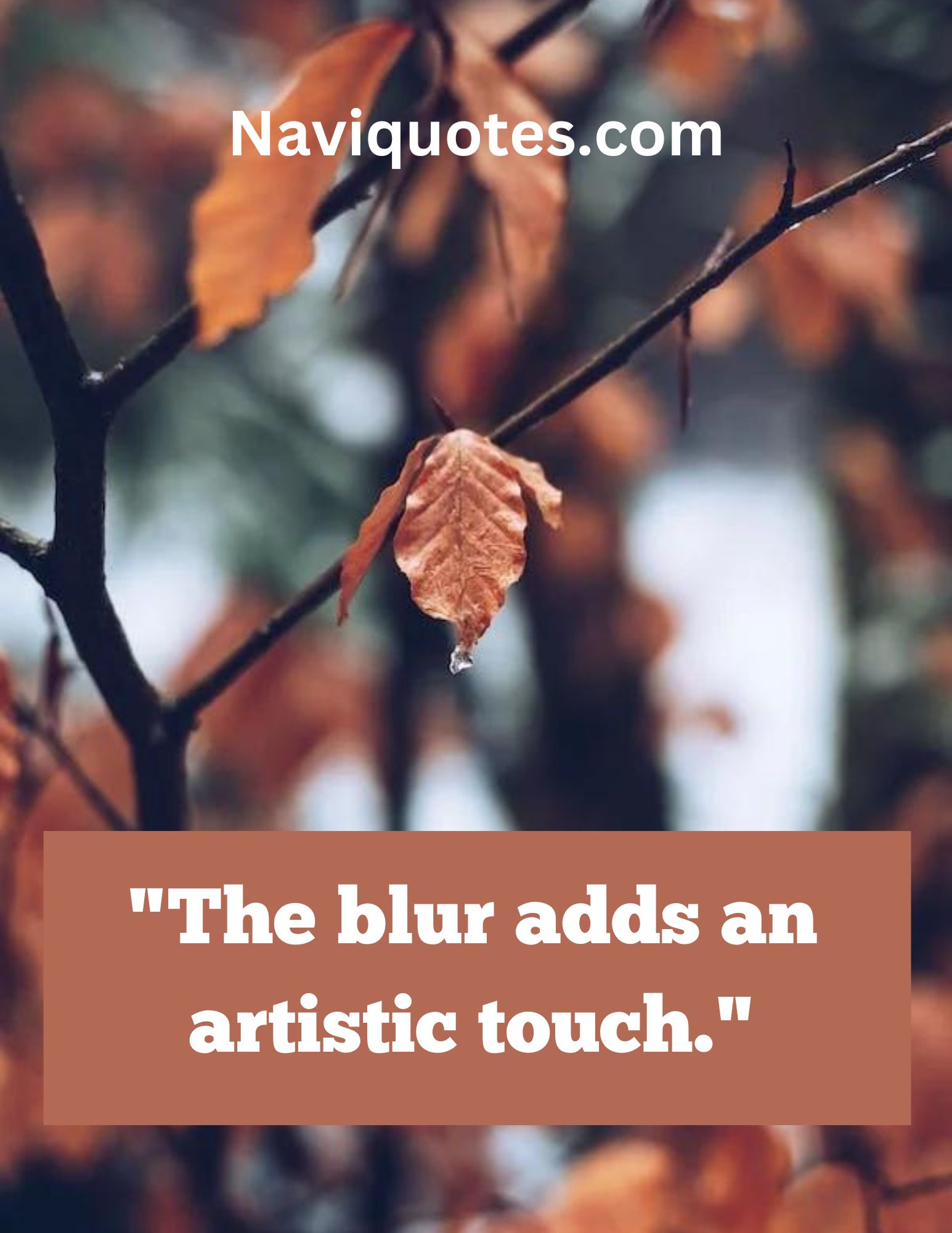 140 Cute and Interesting Captions for Blur Pics