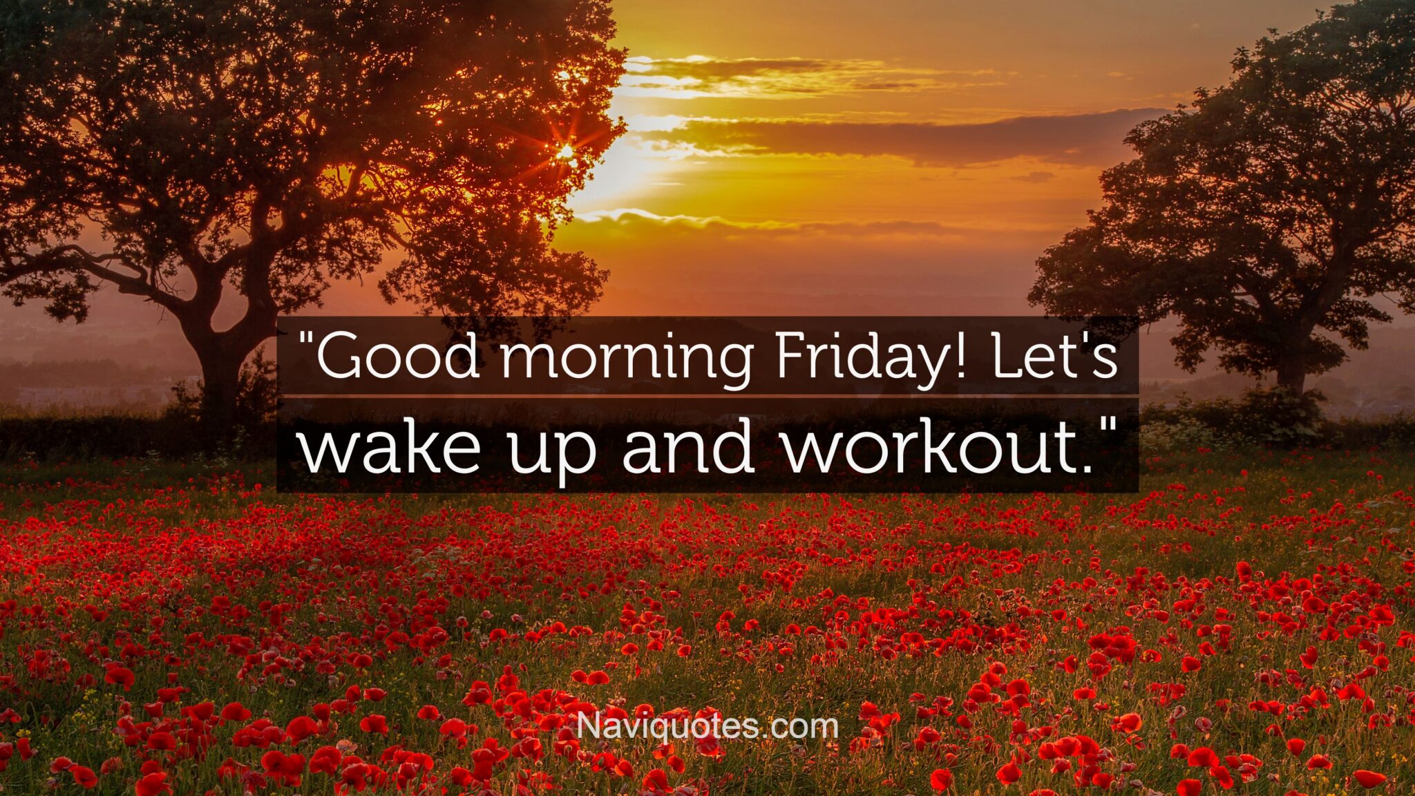 160 Inspiring Friday Workout Quotes