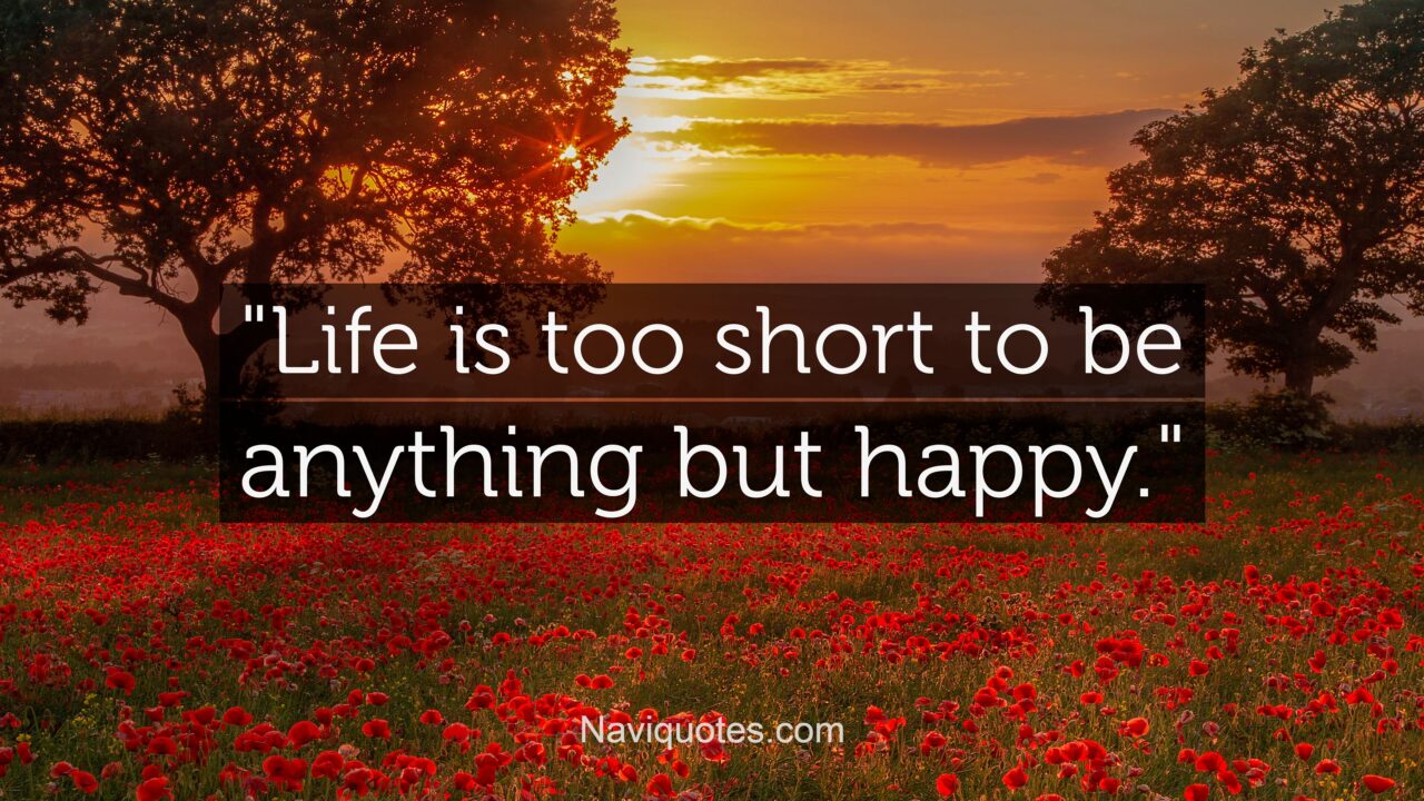 60 Cheer Up Quotes and Captions to Elevate your Mood