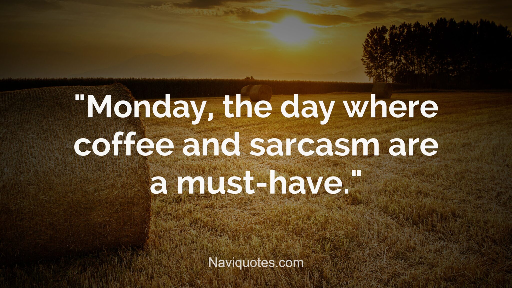 140 Best Monday Captions for Instagram