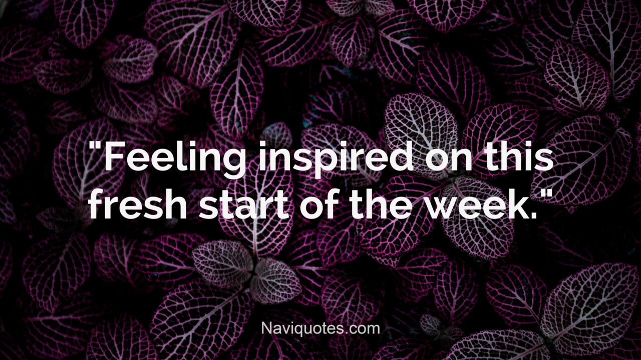 140 Best Monday Captions for Instagram