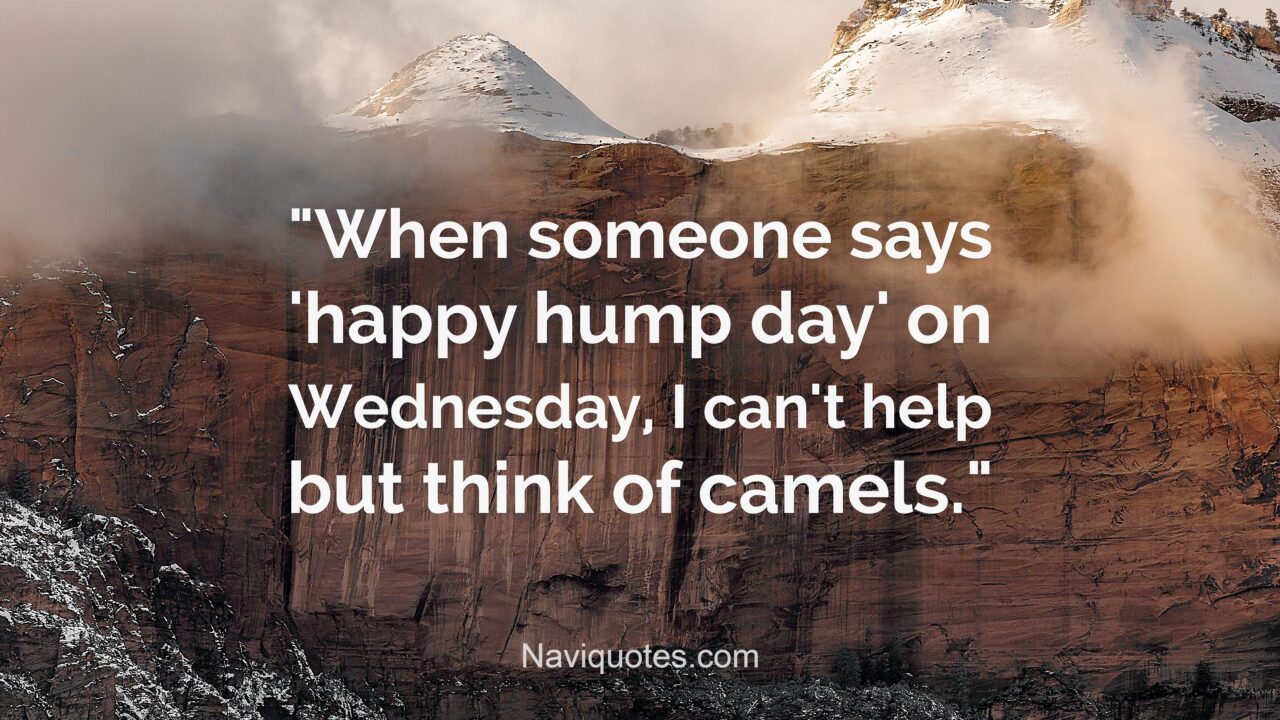 80 Best Wednesday Captions for Instagram
